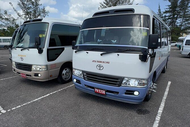 Souvenirs and Gift shopping Tour in Montego Bay - Authentic Experiences and Local Insights