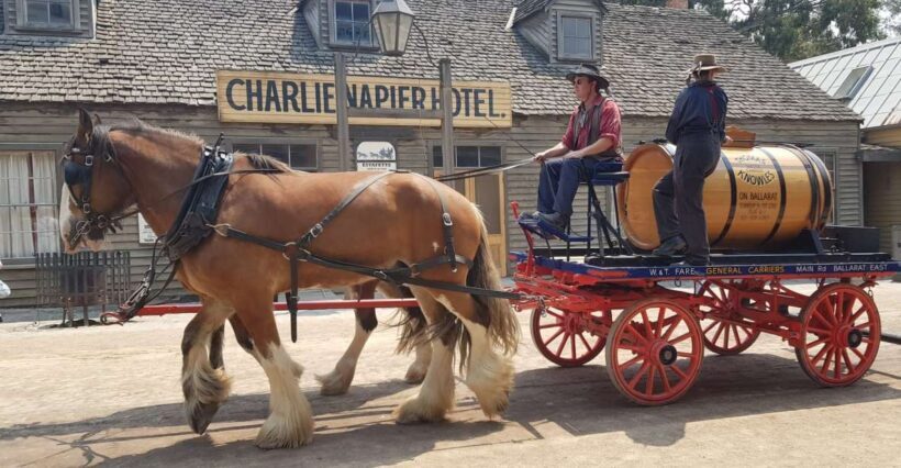 Sovereign Hill & 12 Apostle Private Tour  Up to 14 pax - Sovereign Hill & 12 Apostle Private Tour Up to 14 Pax: A Detailed Look