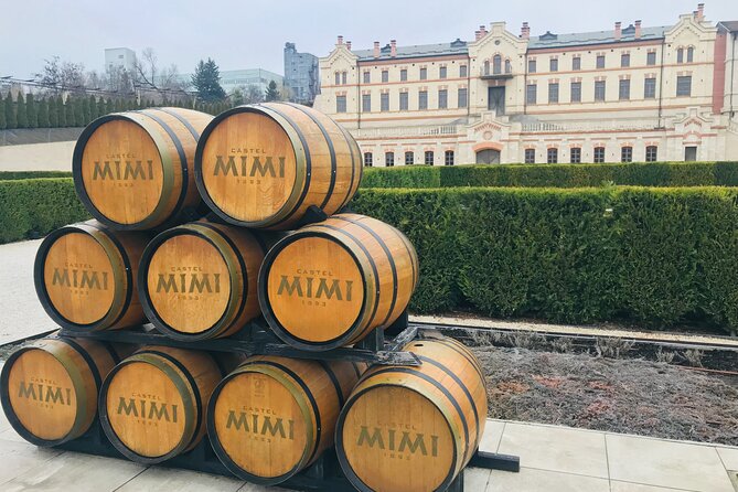 Soviet Heritage of Transnistria and Castle Mimi Winery - Who Is This Tour Best For?