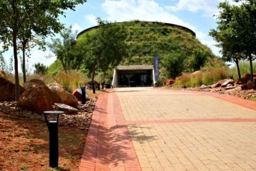 Soweto, Cradle of Mankind, Lions Park & Lesedi Cultural Vill - Soweto: Heart of History and Resistance