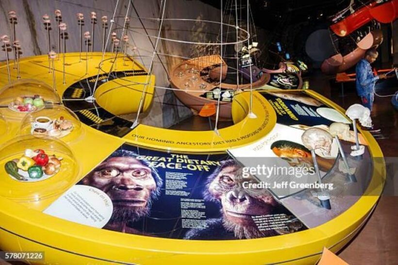 Soweto, Cradle of Mankind, Lions Park & Lesedi Cultural Vill - Lions Park: A Safari Experience