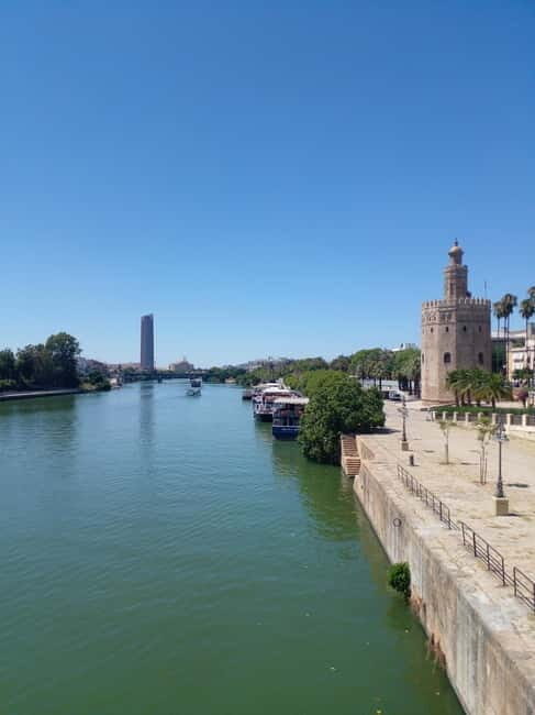 Spain Top Tour (Barcelona, Madrid, Valencia, Malaga,Sevilla) - The Itinerary: Breaking Down the Highlights