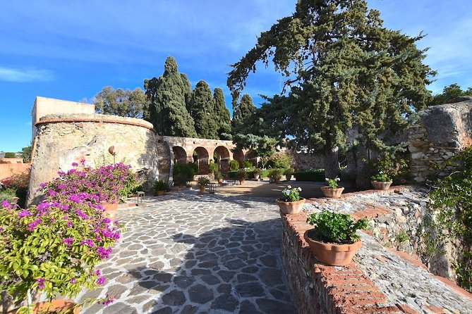 Spanish Civil War Private Walking Tour in Malaga - Accessibility and Fitness Requirements for Participants