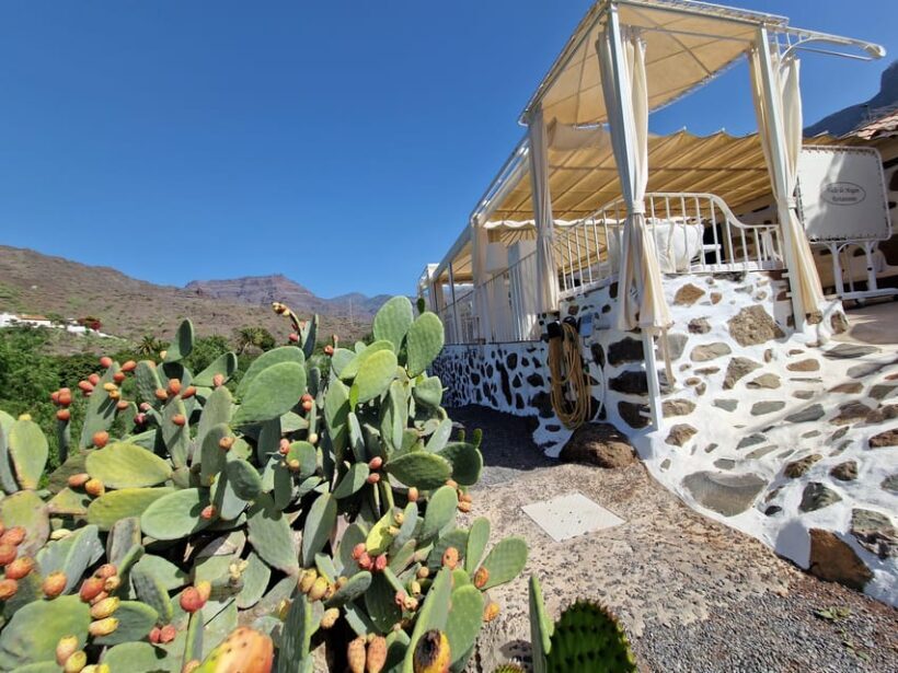 Spanish Cured Meats & Wine Tasting Tour in Mogan - An In-Depth Look at the Tour Experience
