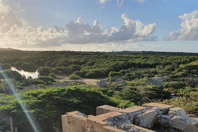 Spanish Lagoon Mangrove Trail & Bird Watching - What Makes This Tour Stand Out