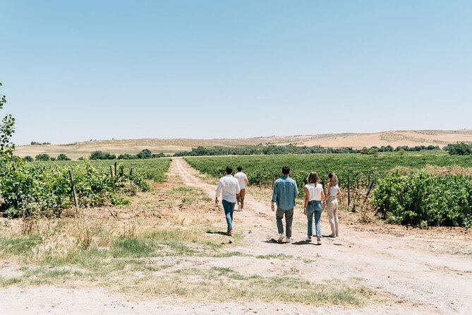 Spanish Villages & Winery Visit With Wine Tasting and Tapas Lunch - Winery Visits and Wine Tasting