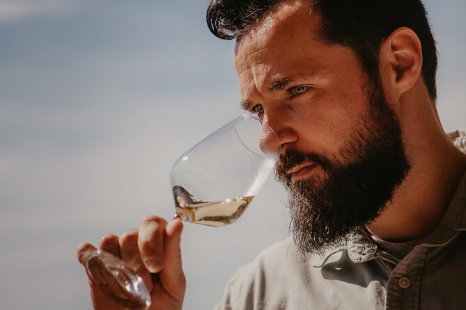 Spanish Wine Tasting - Tapas and Local Cuisine