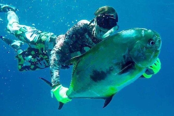 Spearfishing Playa del Carmen or Tulum - An Introduction to the Spearfishing Adventure
