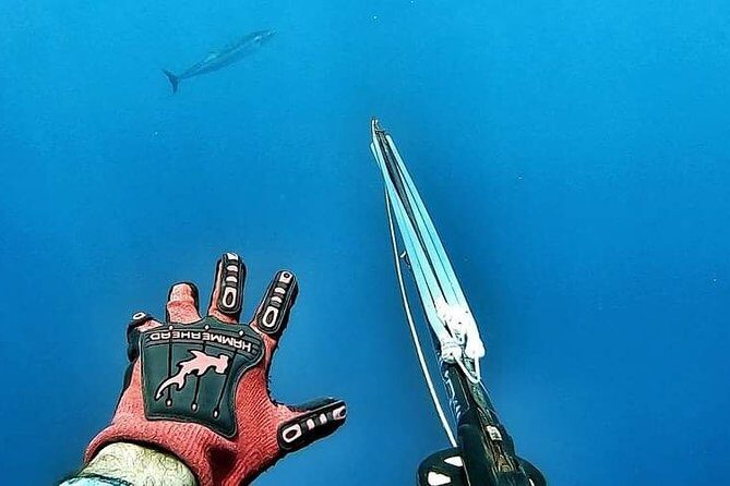 Spearfishing Playa del Carmen or Tulum - The Practical Details