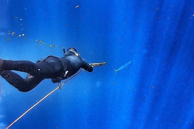 Spearfishing Playa del Carmen or Tulum - Frequently Asked Questions