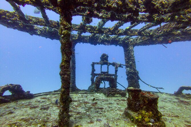 SPECIAL!! 2 Tank Wreck & Drift Reef dives - The Dive Experience: What You’ll Feel and See