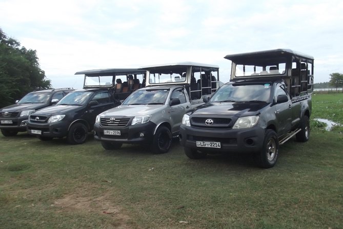 Special leopards safari Yala National park - 04.30 am to 11.30 am - Key Points