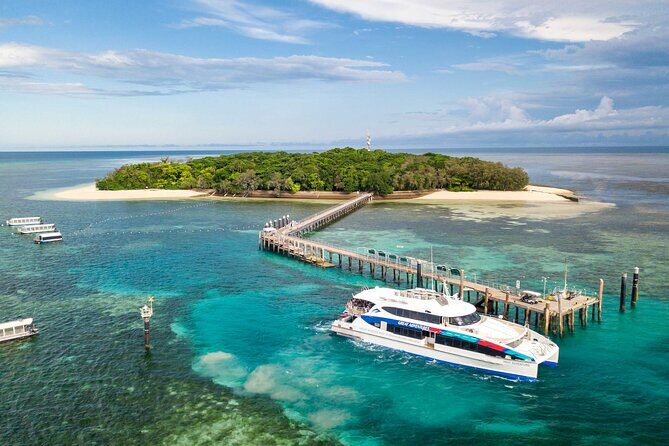 Special Offer: Great Barrier Reef & Green Island Day Tour - A Detailed Look at the Tour Experience