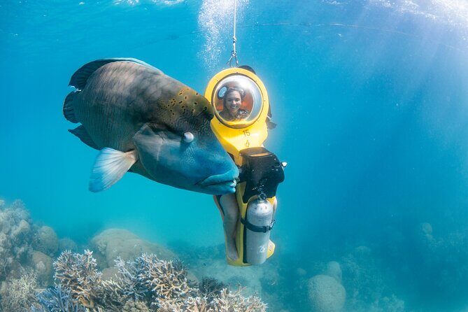 Special Offer: Great Barrier Reef & Green Island Day Tour - FAQ