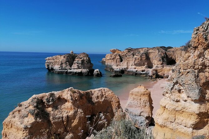 Special One Tour | Tuk Tuke Ride - Customer Reviews and Experiences