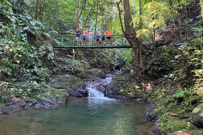 Special Private Waterfalls and Jungle Safari Tour - Inclusions and Exclusions
