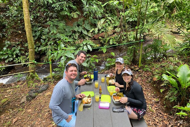 Special Private Waterfalls and Jungle Safari Tour - Scenic Overlook and Views