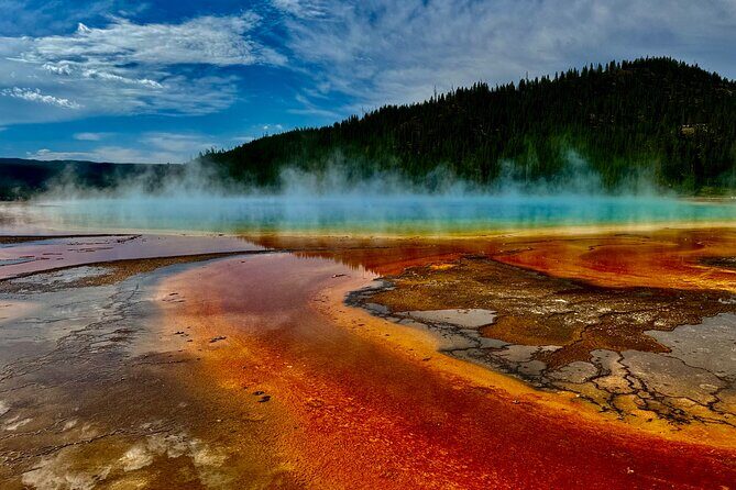 *Special* Seniors Yellowstone Lower Loop From West Yellowstone - The Private, Open-Air Experience