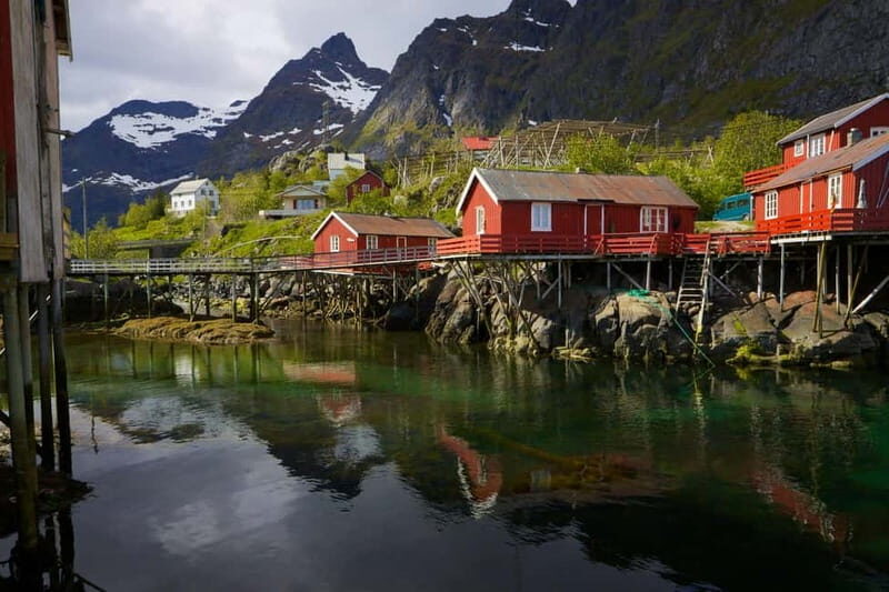 Special Summer Cruise Guided Tour of Lofoten - Key Points