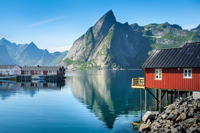 Special Summer Guided Tour of Lofoten Review - Company Responsiveness and Commitment