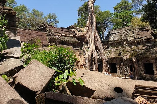 Special Three Days Angkor Tour - Practical Tips for Travelers
