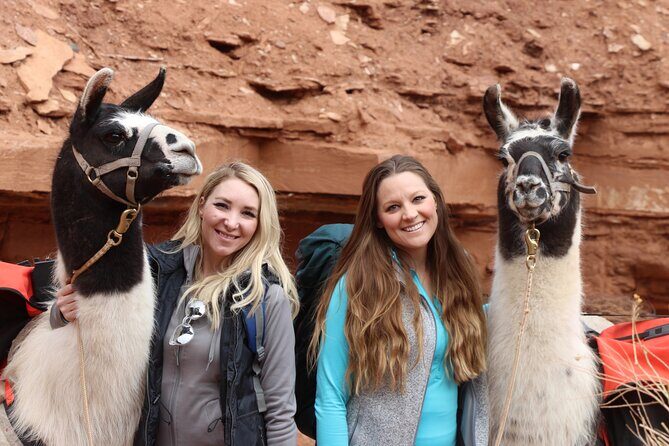 Spectacular 8-Hour Guided Llama Hike with Lunch and Dinner - Who Would Love This?