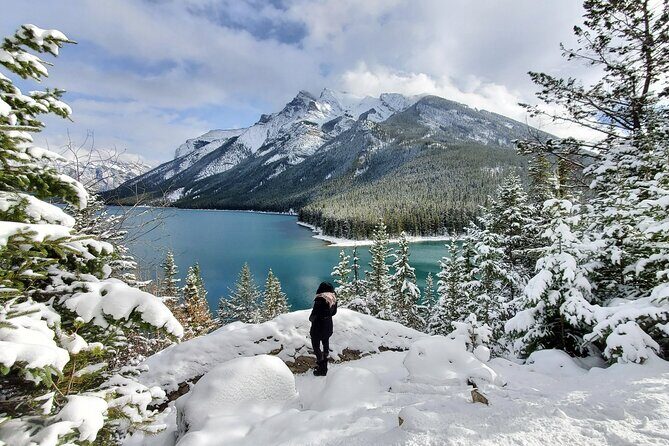 Spectacular Banff Day - Gondola Included - An Overview of the Tour Experience