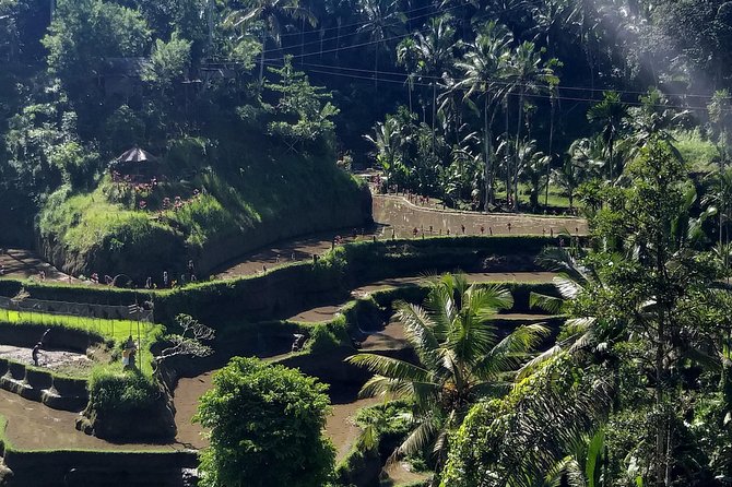 Spectacular Eastern Bali Tour - Frequently Asked Questions