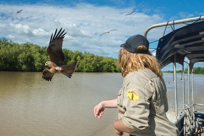 Spectacular Jumping Crocodile Cruise with Darwin Transfer Bus - The Value of the Experience