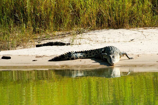 Spectacular Jumping Crocodile Cruise with Darwin Transfer Bus - Final Summary