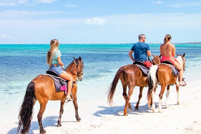 Spectacular Private Beach & Ocean Ride in Providenciales - An In-Depth Look at the Experience