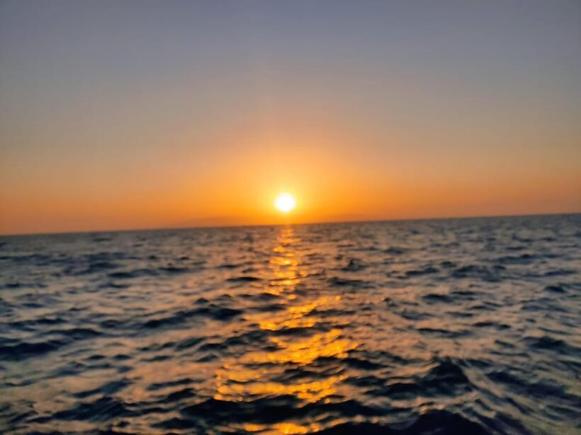 Spectacular Sunset Cruise in Tenerife: A Magical Experience - Key Points