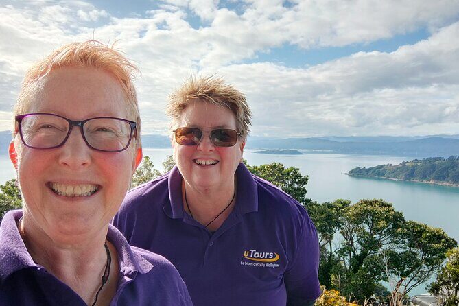 Spectacular Wellington: Half Day Private Sightseeing Tour - A Deep Dive into the Experience