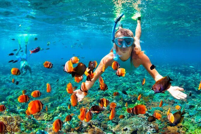 Speed Boat Adventure In Punta Cana - An In-Depth Look at the Speed Boat Adventure