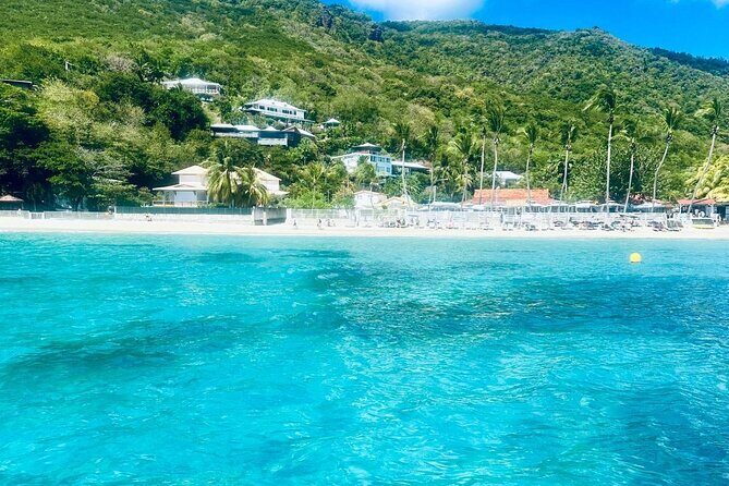 Speed Boat Dolphins and Turtles Full Day - FAQs