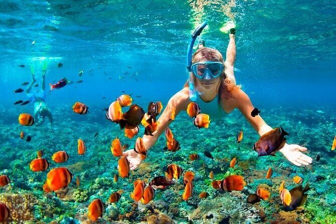 Speed Boat Extreme from Punta Cana - An In-Depth Look at the Speed Boat Extreme Tour