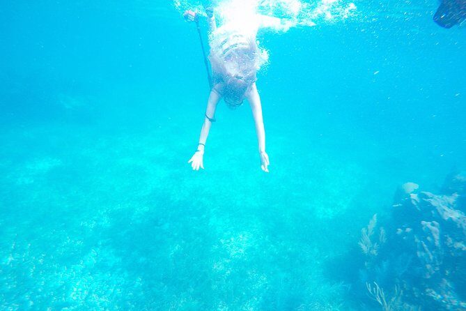 Speed Boat & Snorkel Tour with transportation ( only Cancun zone area) - Final Thoughts: Is It Worth It?