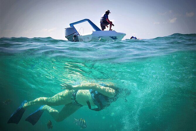 Speed Boat & Snorkel Tour with transportation ( only Cancun zone area) - Frequently Asked Questions