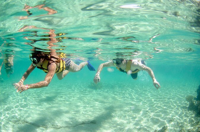 Speed Through Cancun: Explore Mangroves, Reefs & MUSA in One Tour - Why This Tour Offers Good Value