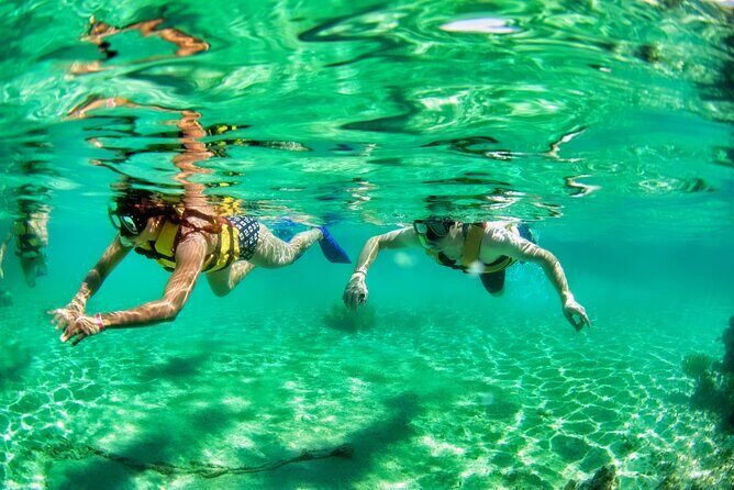 Speedboat across the Mangroves & Snorkel with Jet Ski Rental - The Sum Up