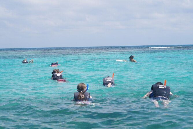 Speedboat Adventure and Snorkeling with transportation in Cancun - The Practical Aspects: Transportation, Pricing, and Group Size