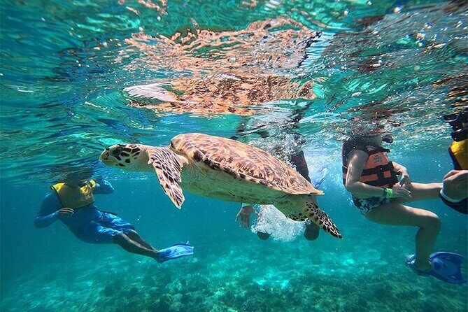 Speedboat and Snorkel Cancun Adventure with Transportation - Exploring the Details of the Speedboat and Snorkel Cancun Adventure