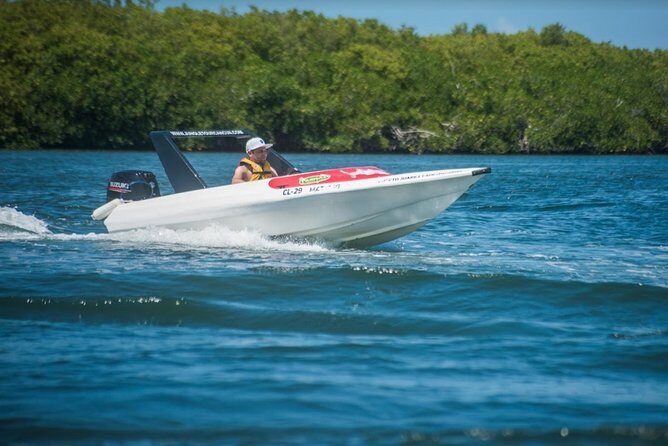 Speedboat and snorkel tour: Single Passenger Boat - An Introduction to Cancun’s Water Adventure