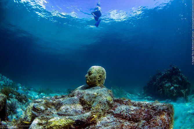 Speedboat and snorkel tour: Single Passenger Boat - Who Will Love This Tour?