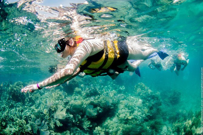 Speedboat and snorkel tour: Single Passenger Boat - The Sum Up
