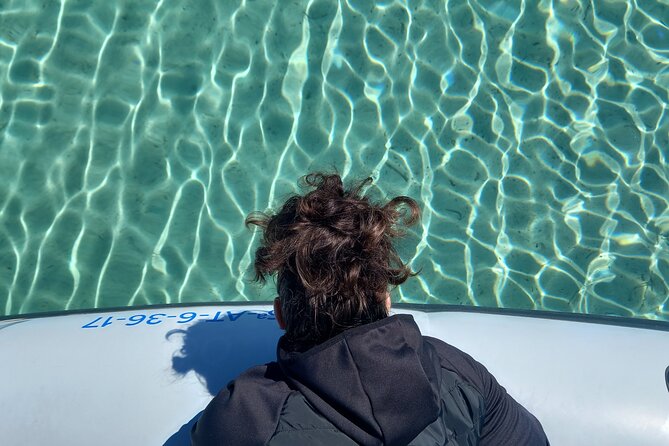 Speedboat Excursion Through the Coves of Northern Menorca - Exploring the Coves and Caves