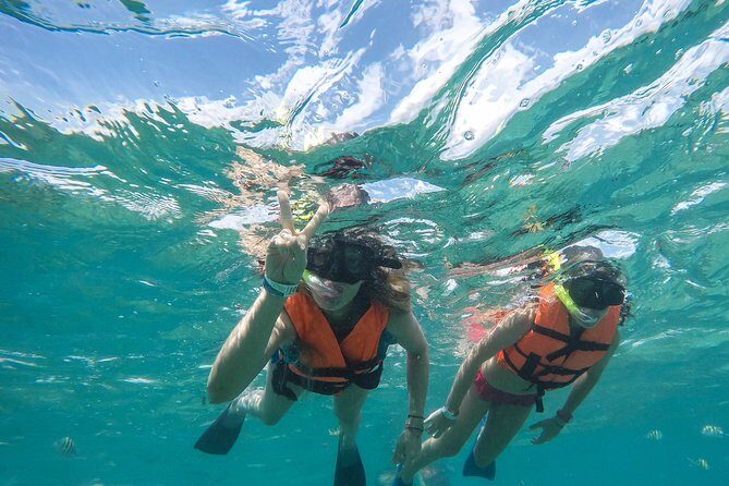 Speedboat jungle tour and snorkel - Final Thoughts