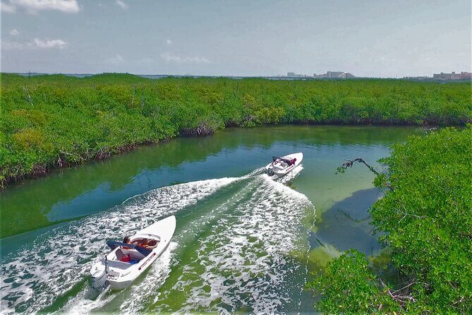 SpeedBoat Jungle Tour + Snorkel Experience in Cancun - What Could Be Better?