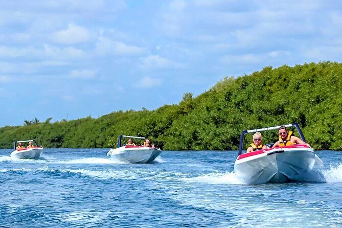 SpeedBoat Jungle Tour + Snorkel Experience in Cancun - The Value of This Experience