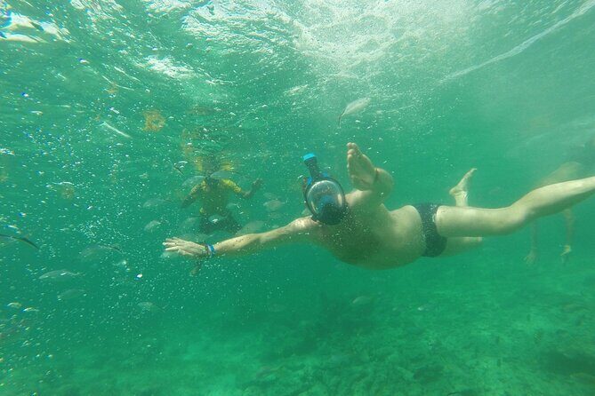 Speedboat Sailing with Snorkeling Experience in Punta Cana - Frequently Asked Questions (FAQs)